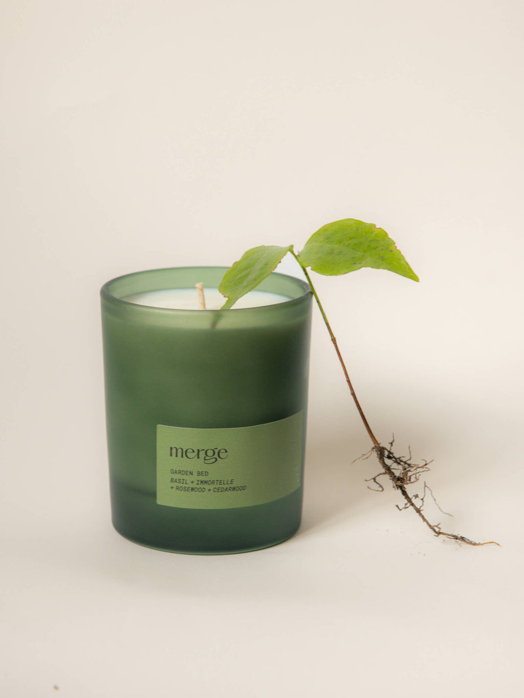Garden Bed Candle - Merge – Daughters of Indie